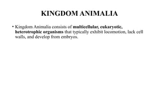 KINGDOM ANIMALIA AND MAJOR CHARACTERISTICS | PPTX