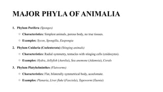 KINGDOM ANIMALIA AND MAJOR CHARACTERISTICS | PPTX