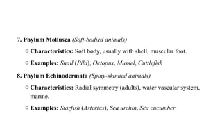 KINGDOM ANIMALIA AND MAJOR CHARACTERISTICS | PPTX