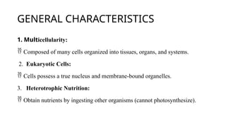 KINGDOM ANIMALIA AND MAJOR CHARACTERISTICS | PPTX