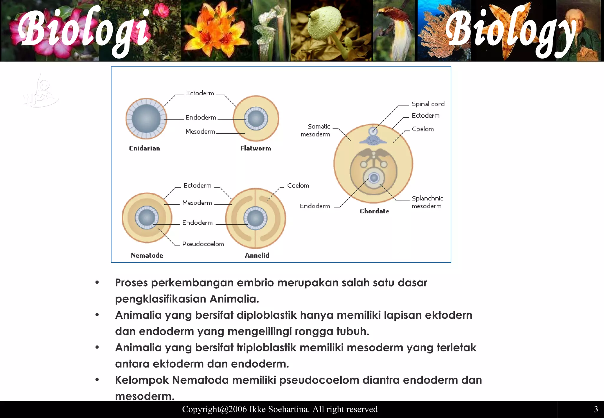 Kingdom Animalia "Ciri dan Struktur" | PPT