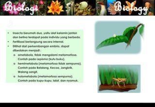 Arthropoda | PPT