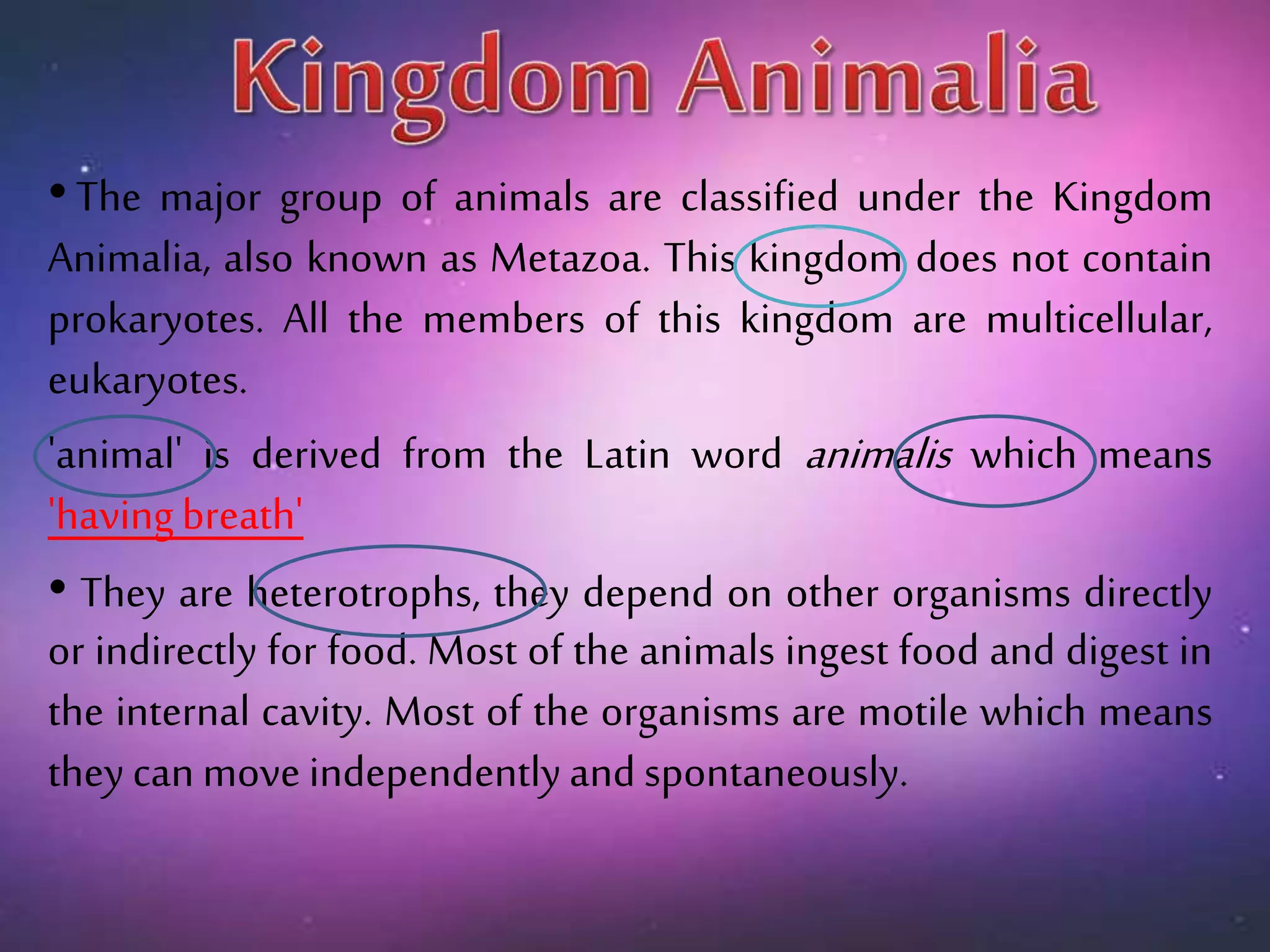 Kingdom Animalia | PPTX | Biological Sciences | Science