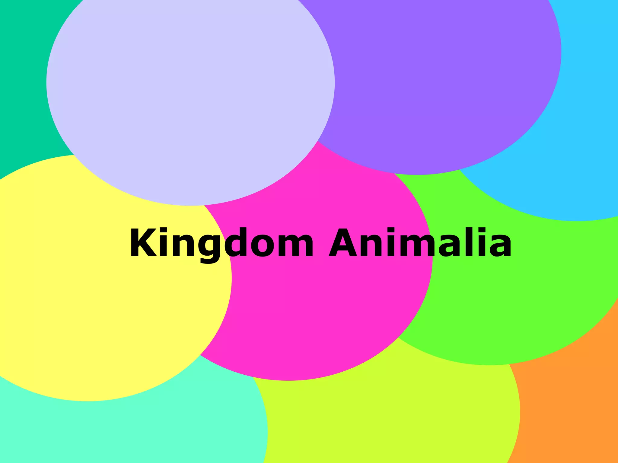KINGDOM_ANIMALIA_PPT.ppt