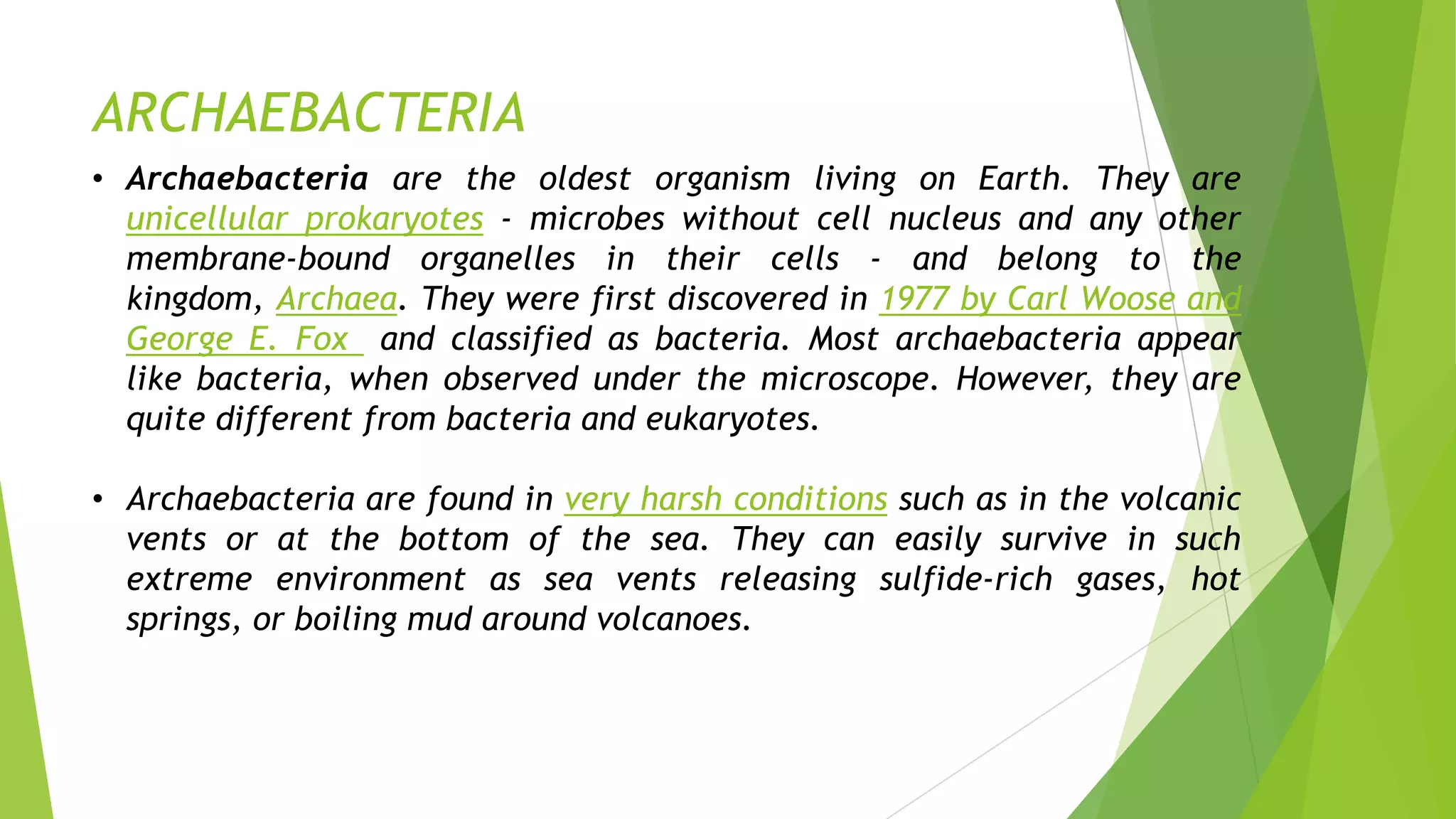 Kingdom Archaebacteria | PPSX