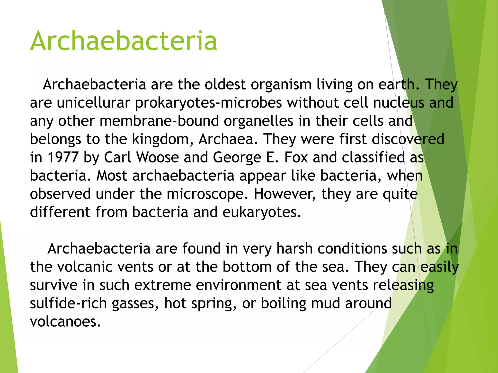 Kingdom archaebacteria | PPTX