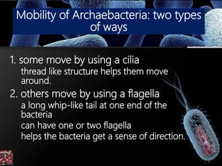 KINGDOM ARCHAEBACTERIA | PPTX