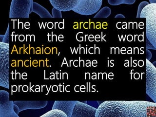 KINGDOM ARCHAEBACTERIA | PPTX
