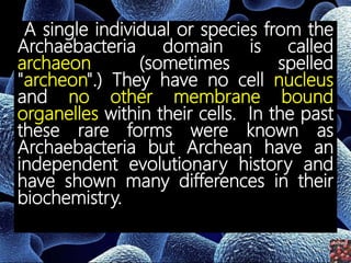 KINGDOM ARCHAEBACTERIA | PPTX