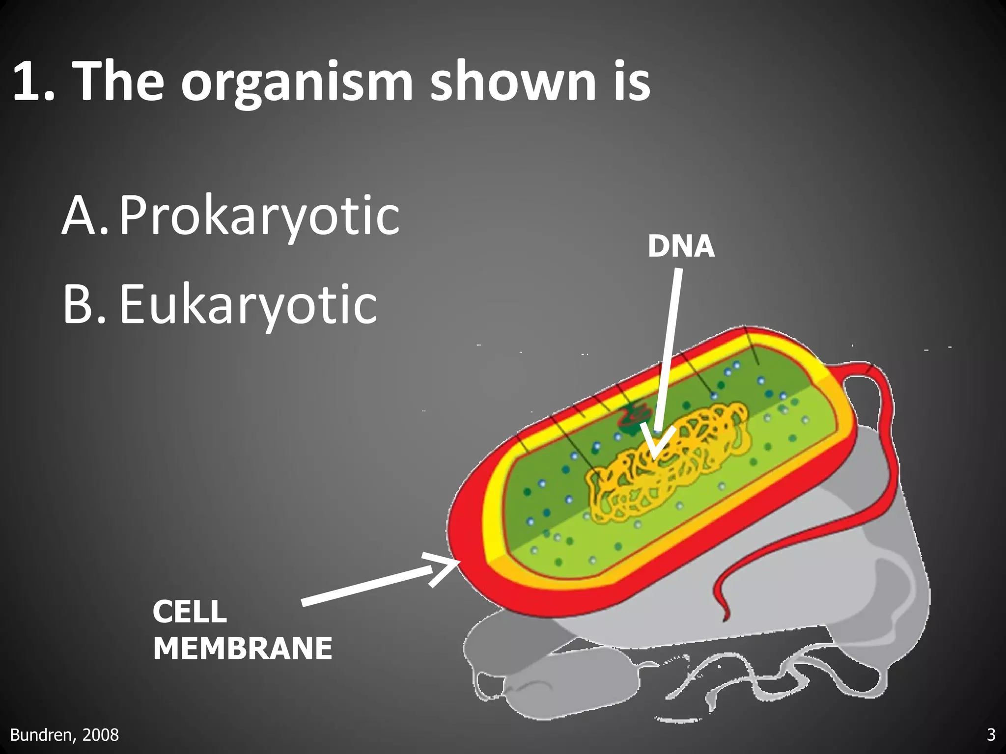 Six Kingdoms Notes | PPT