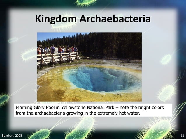 Six Kingdoms Notes | PPT