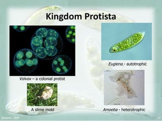 Six Kingdoms Notes | PPT