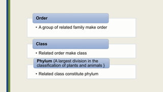 Kingdom classification and details classification of kingdom and phyllum | PPTX