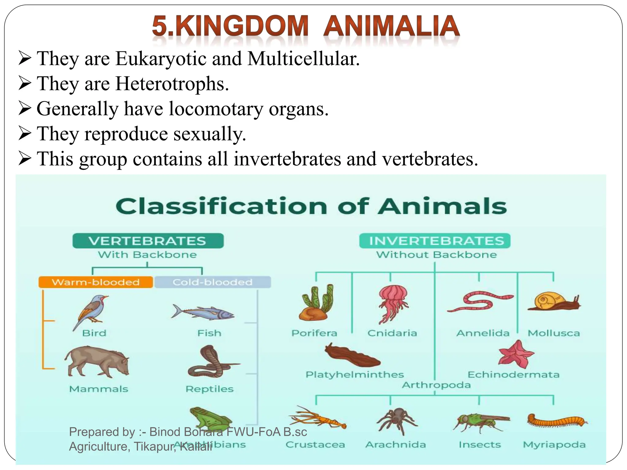 Kingdom ClassificationCarolus Linnaeus proposed the two-kingdom ...