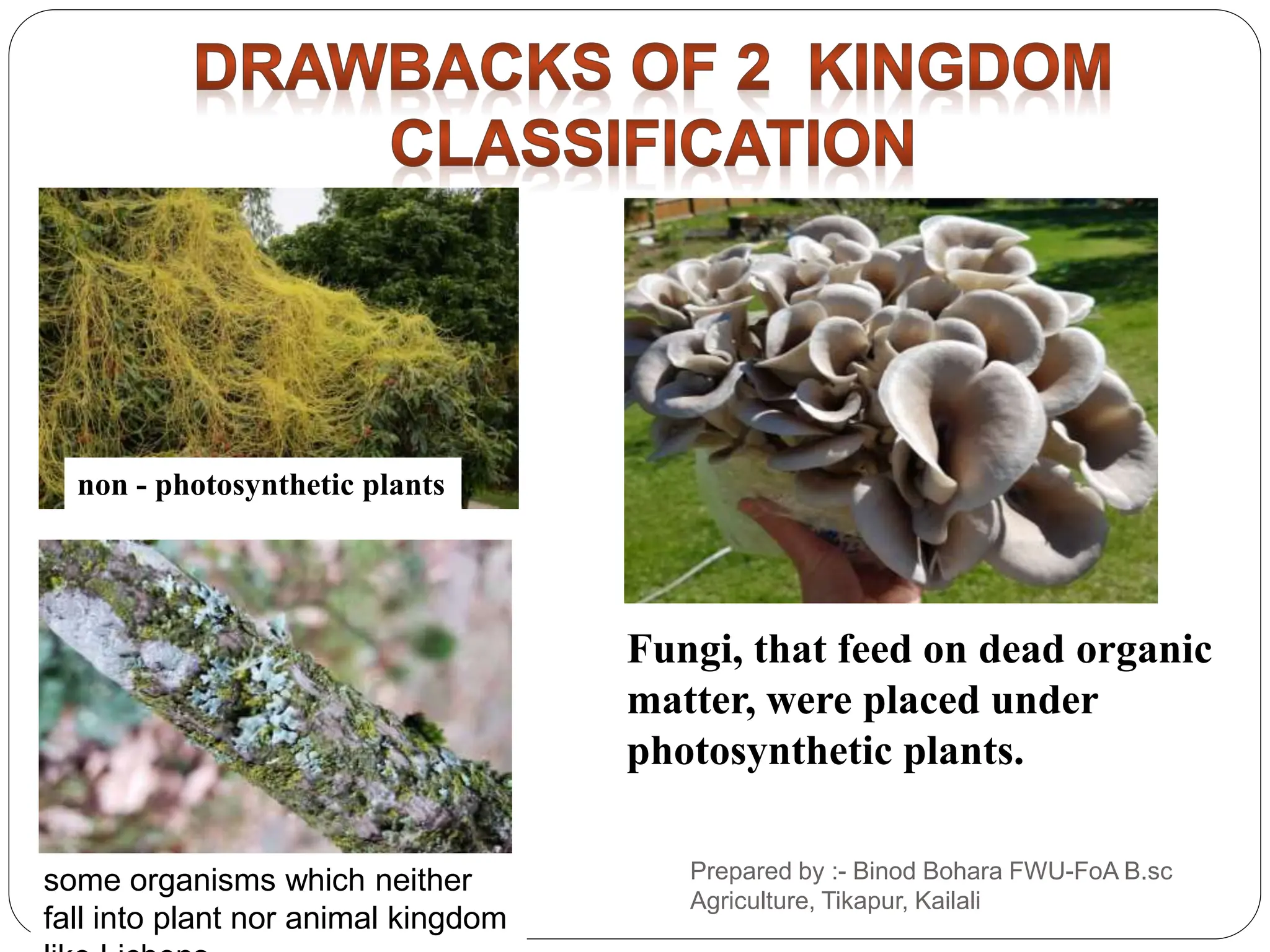 Kingdom ClassificationCarolus Linnaeus proposed the two-kingdom ...