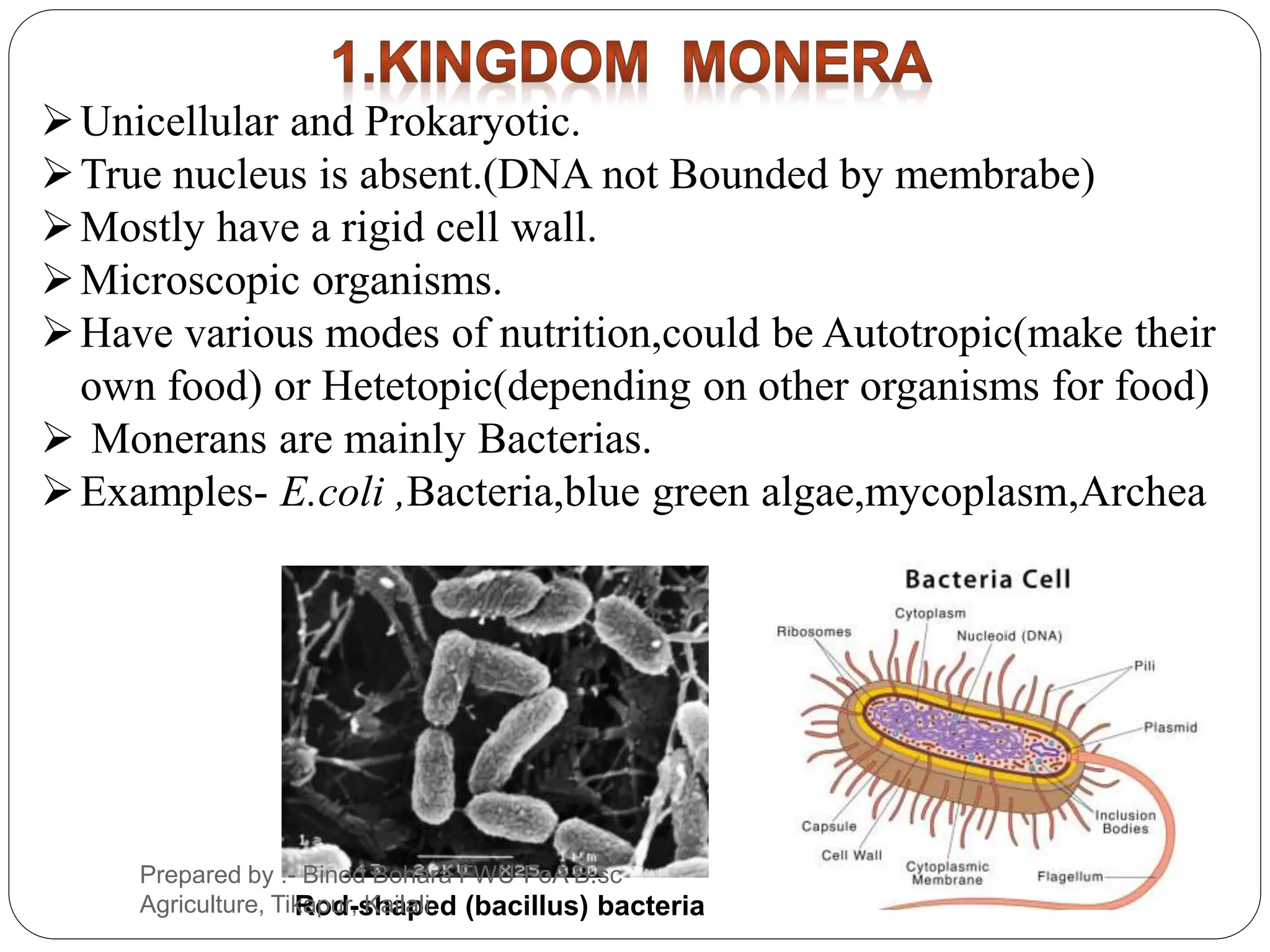 Kingdom ClassificationCarolus Linnaeus proposed the two-kingdom ...