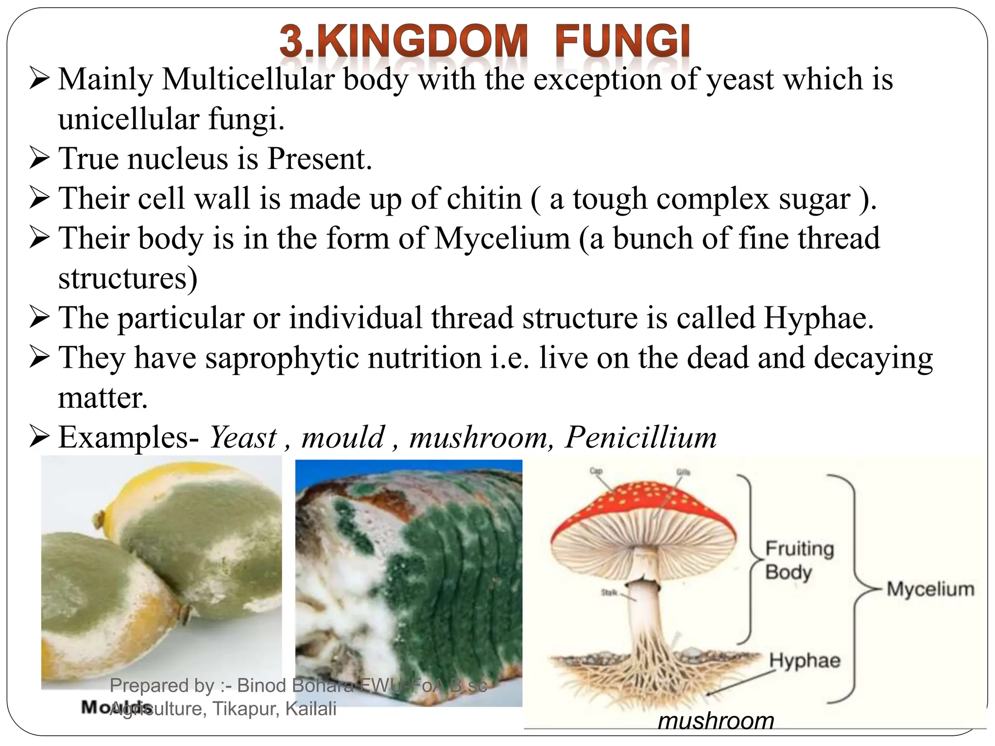 Kingdom ClassificationCarolus Linnaeus proposed the two-kingdom ...
