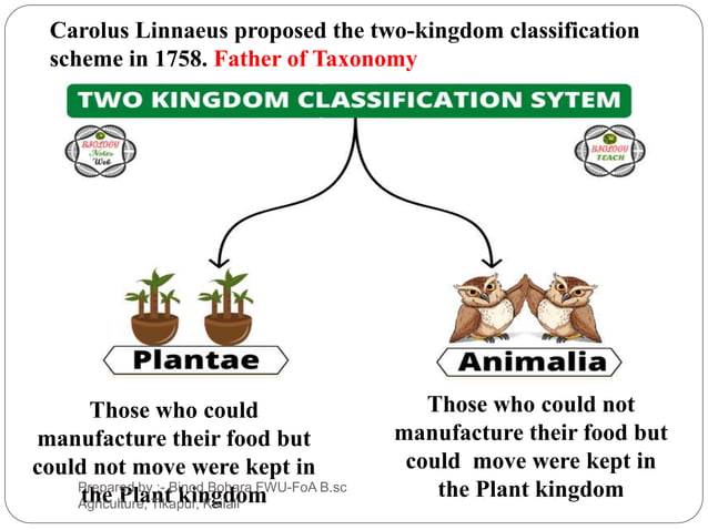 Kingdom ClassificationCarolus Linnaeus proposed the two-kingdom ...