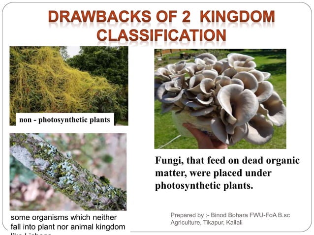 Kingdom ClassificationCarolus Linnaeus proposed the two-kingdom ...
