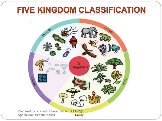 Kingdom ClassificationCarolus Linnaeus proposed the two-kingdom ...