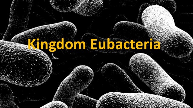 Eubacteria King Of Kingdoms