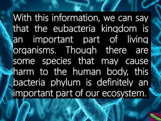 Information On Eubacteria