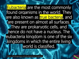 Eubacteria Environment