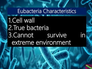 Eubacteria Environment