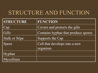 Kingdom Fungi | PPT