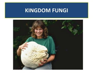 Kingdom fungi | PPTX