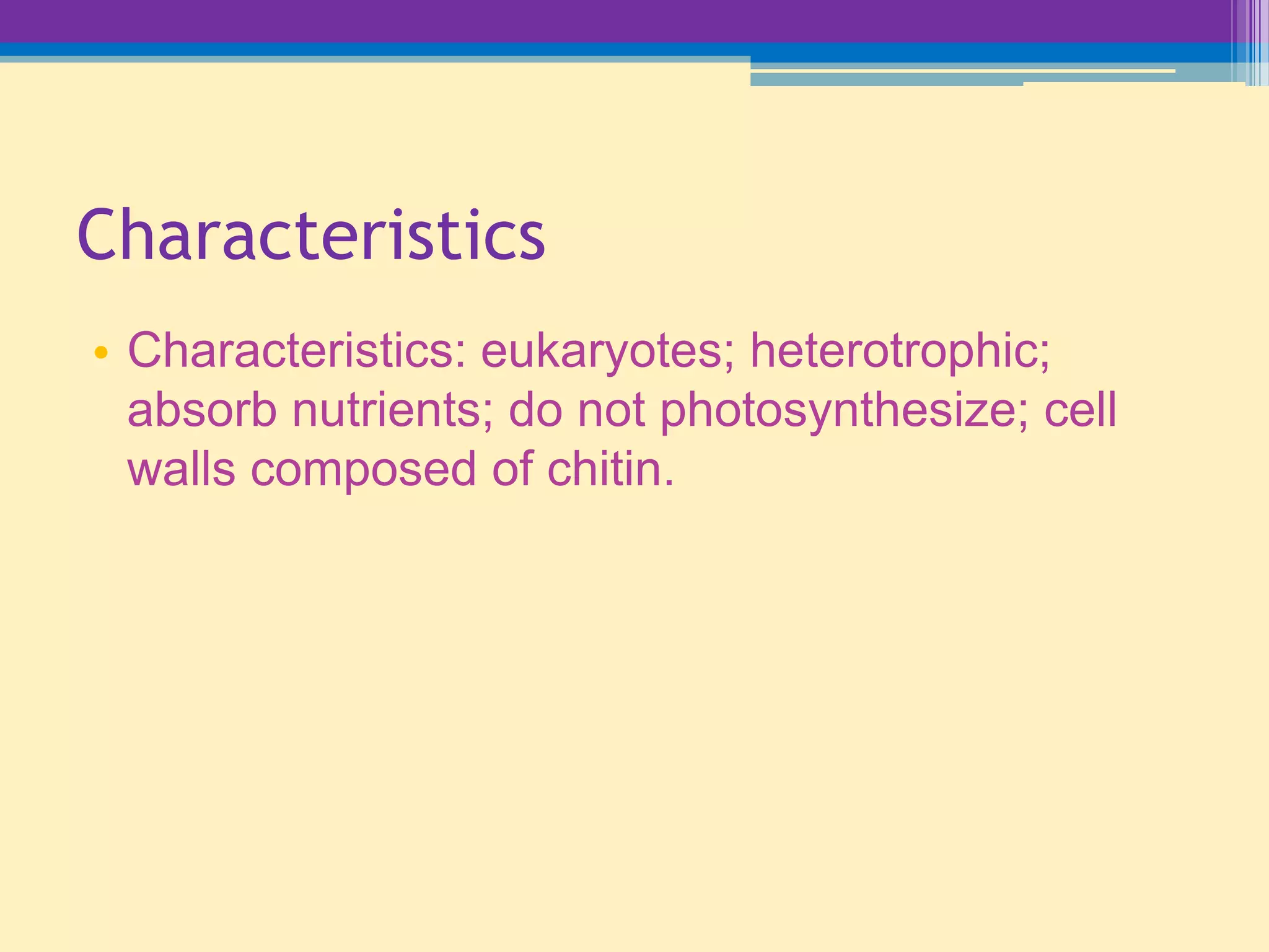 Kingdom Fungi Ppt