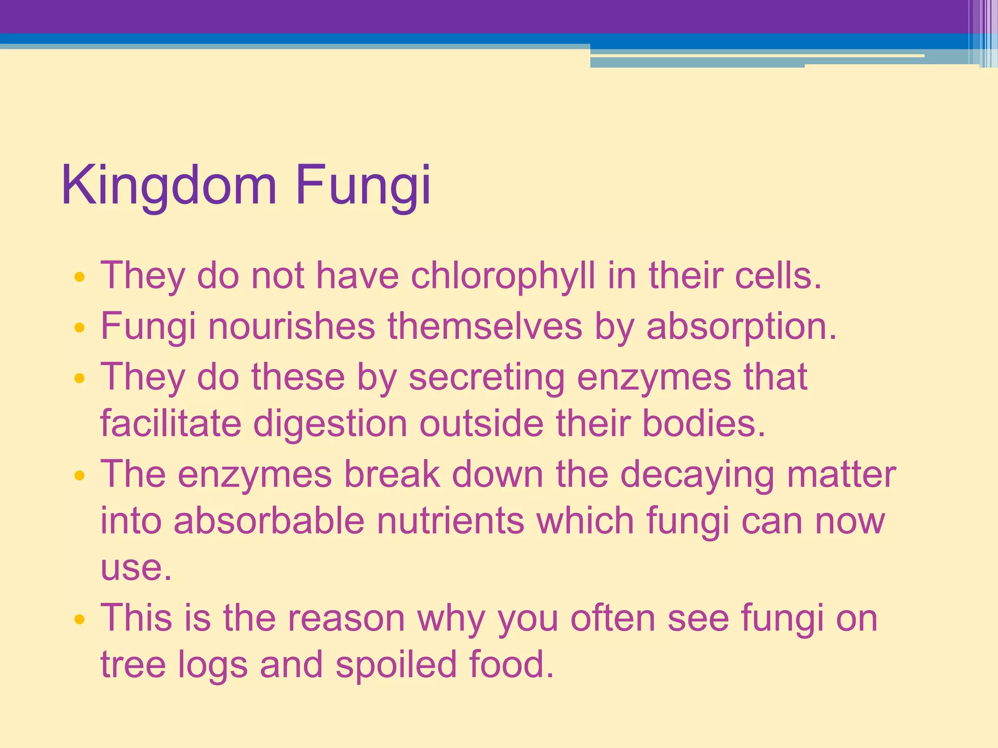 Kingdom fungi | PPTX