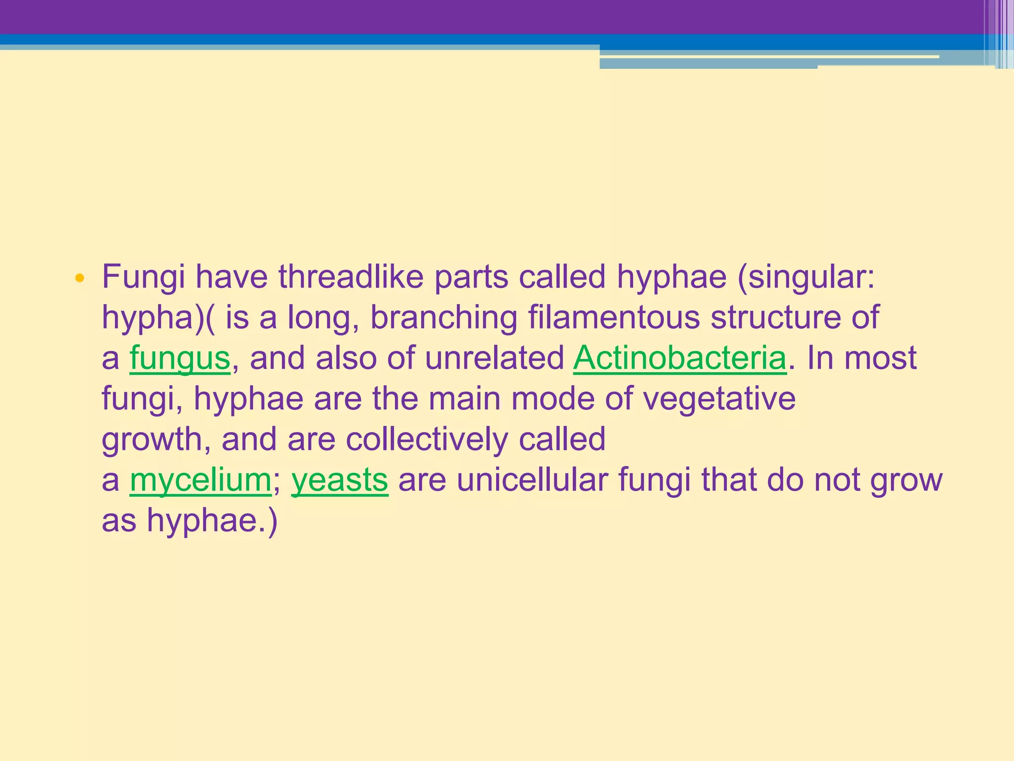 Kingdom fungi | PPTX