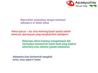 Kingdom fungi | PPTX