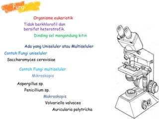 Kingdom fungi | PPTX