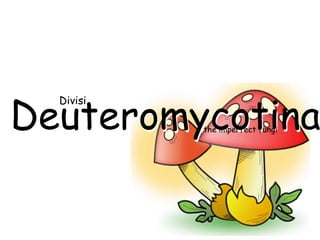 Kingdom fungi | PPTX