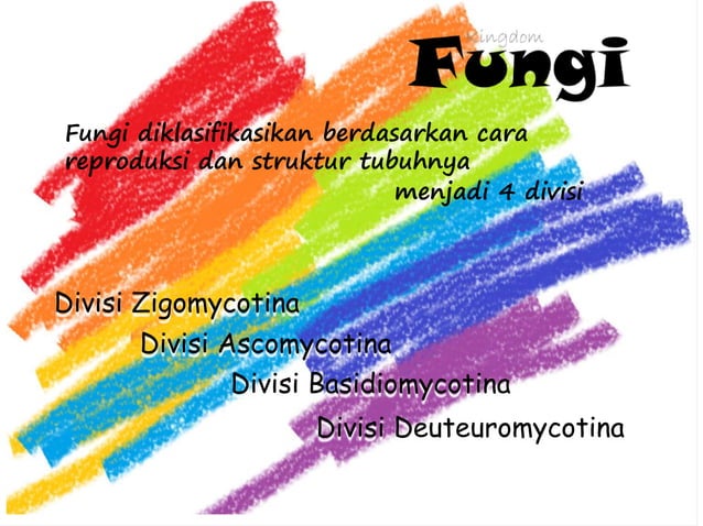 Kingdom fungi | PPTX