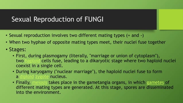 Kingdom fungi: THE SAC FUNGI | PPTX