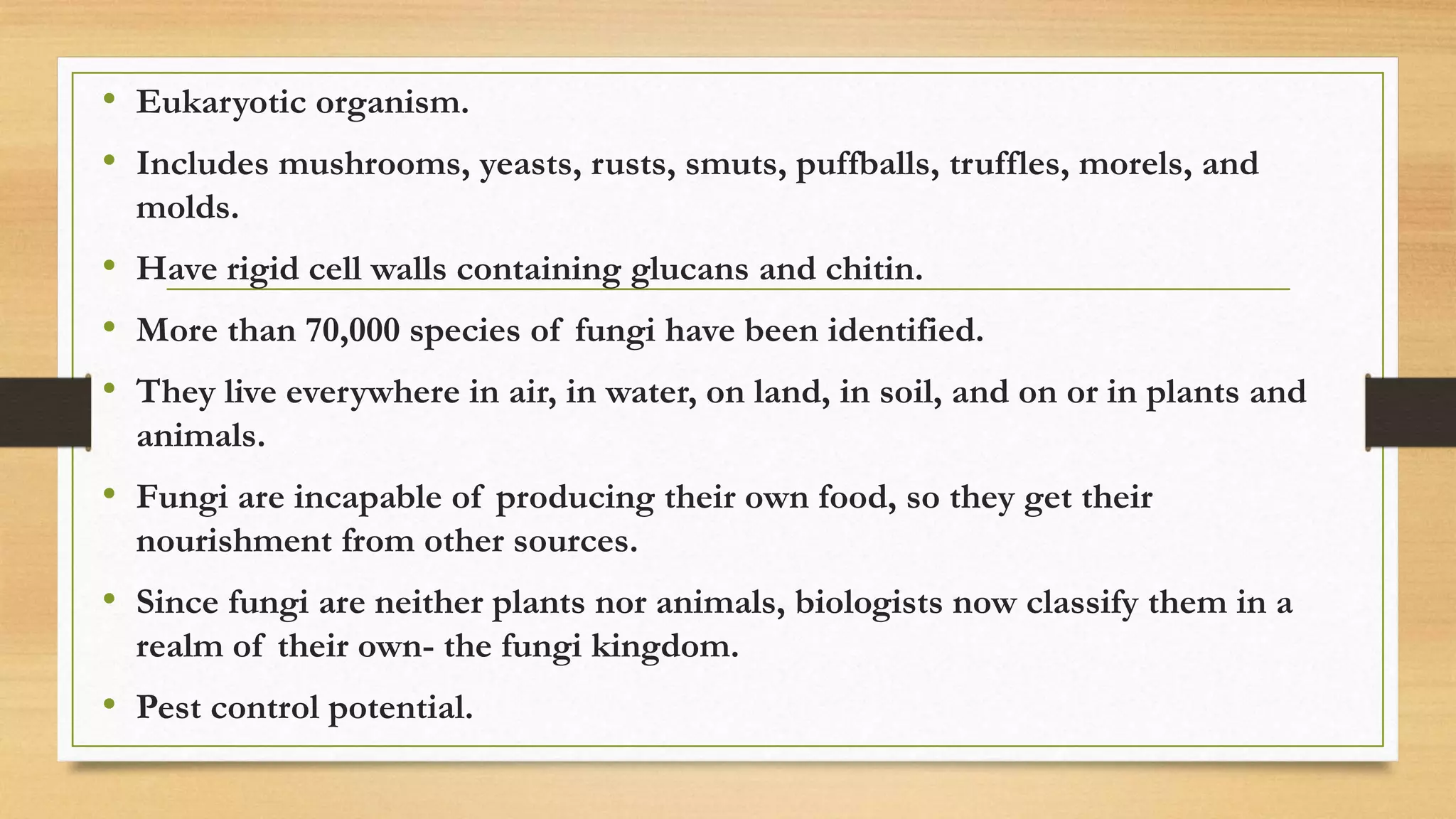 Kingdom fungi | PPT
