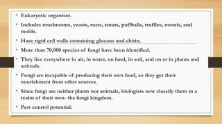 Kingdom fungi | PPT