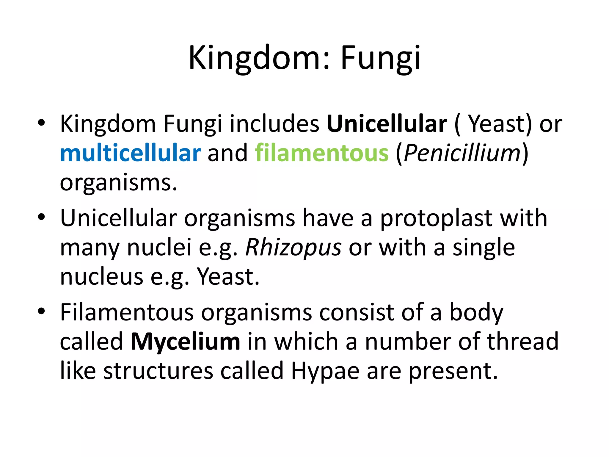 Kingdom fungi | PPTX
