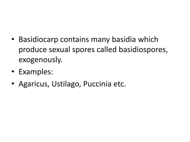 Kingdom Fungi Ppt