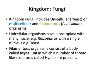 Kingdom fungi | PPTX