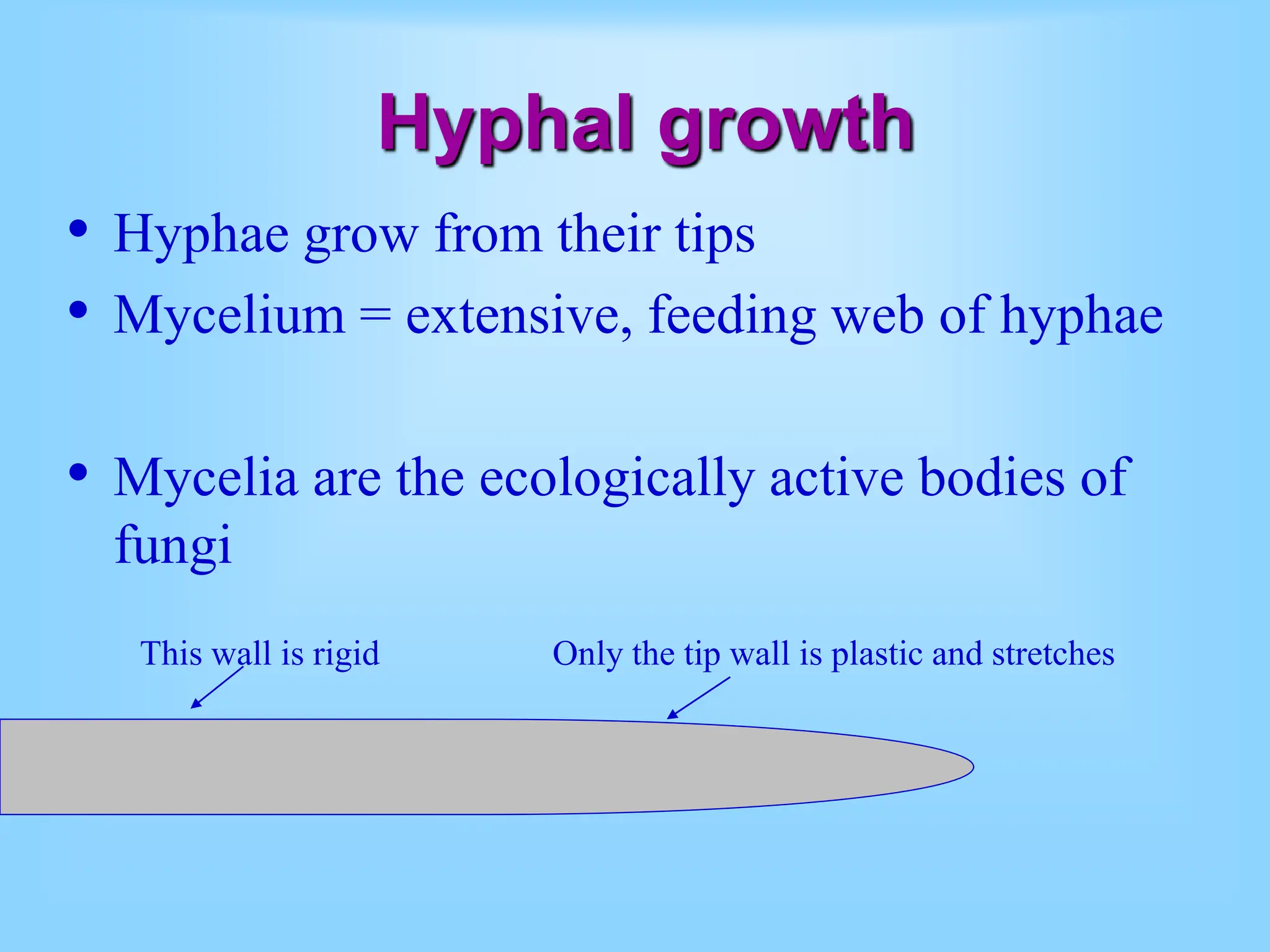list of Kingdom of plant pathogenic Fungi.ppt
