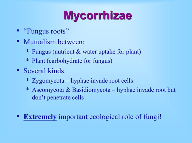 list of Kingdom of plant pathogenic Fungi.ppt | Gardening | Home & Garden