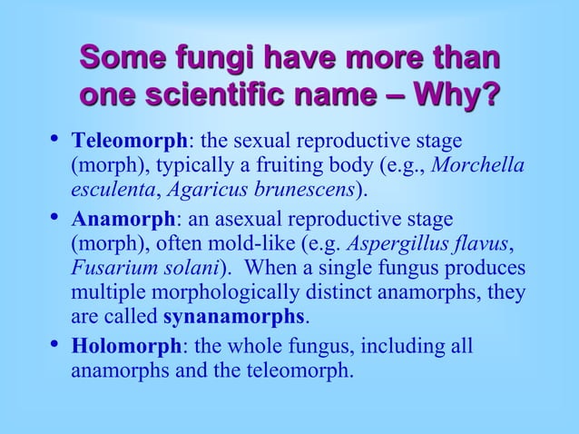 list of Kingdom of plant pathogenic Fungi.ppt | Gardening | Home & Garden