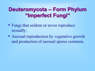 list of Kingdom of plant pathogenic Fungi.ppt