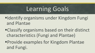 Kingdom Fungi and Kingdom Plantae...pptx