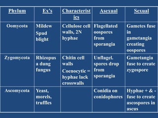 KINGDOM FUNGI, kerajaan jamur, basidiomycota | PPTX
