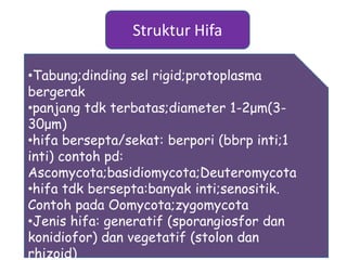 KINGDOM FUNGI, kerajaan jamur, basidiomycota | PPTX